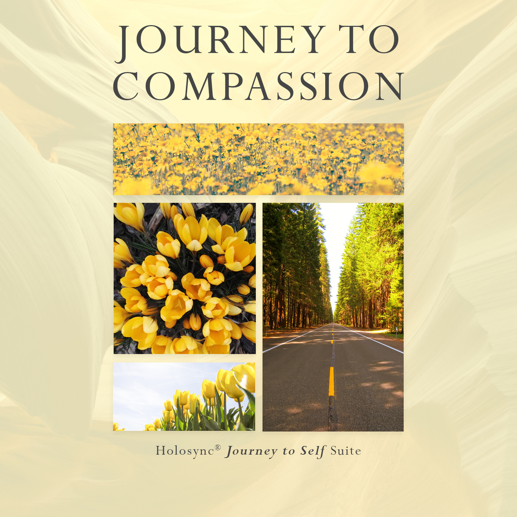 Journey To Self | Holosync® Meditation Technology