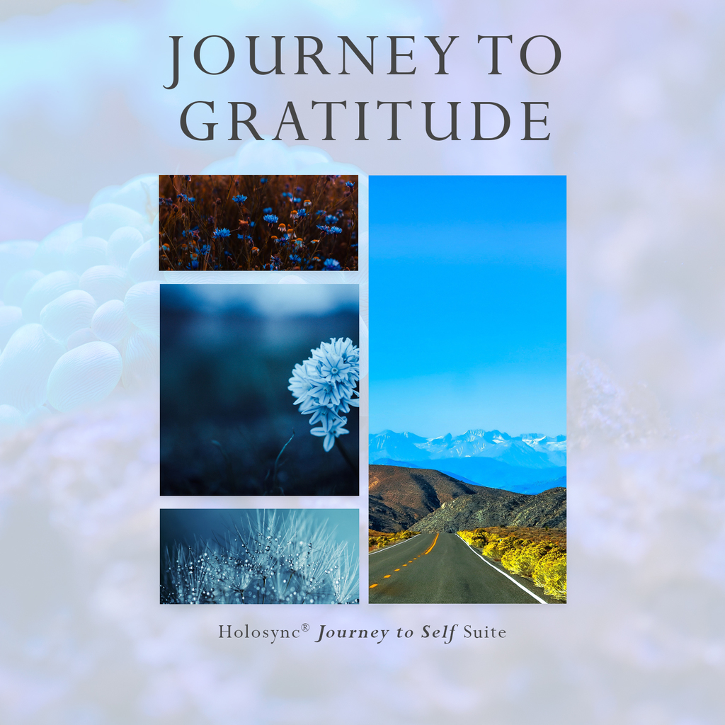Journey To Self | Holosync® Meditation Technology