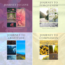 Journey To Self - Holosync® Meditation Technology