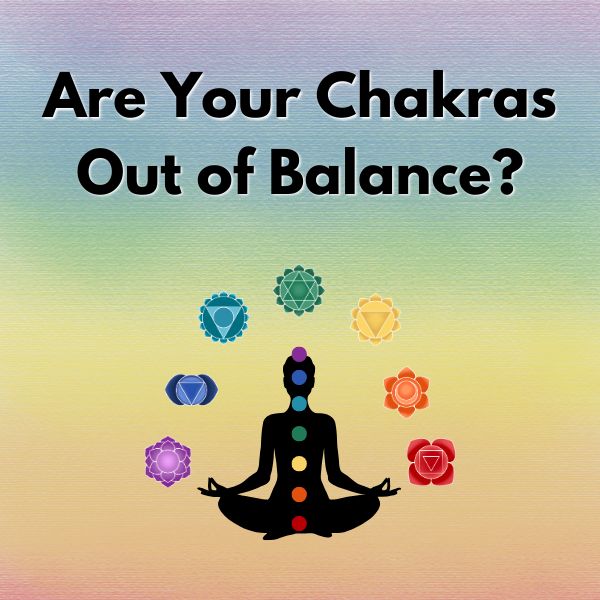 Sacral Chakra | Results Page | Holosync® Meditation Technology